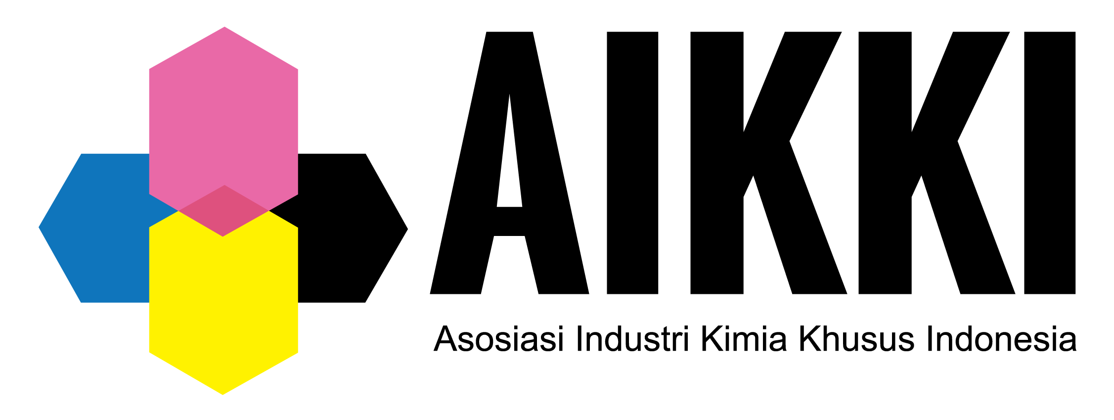 PROFIL AIKKI - AIKKI INDONESIA